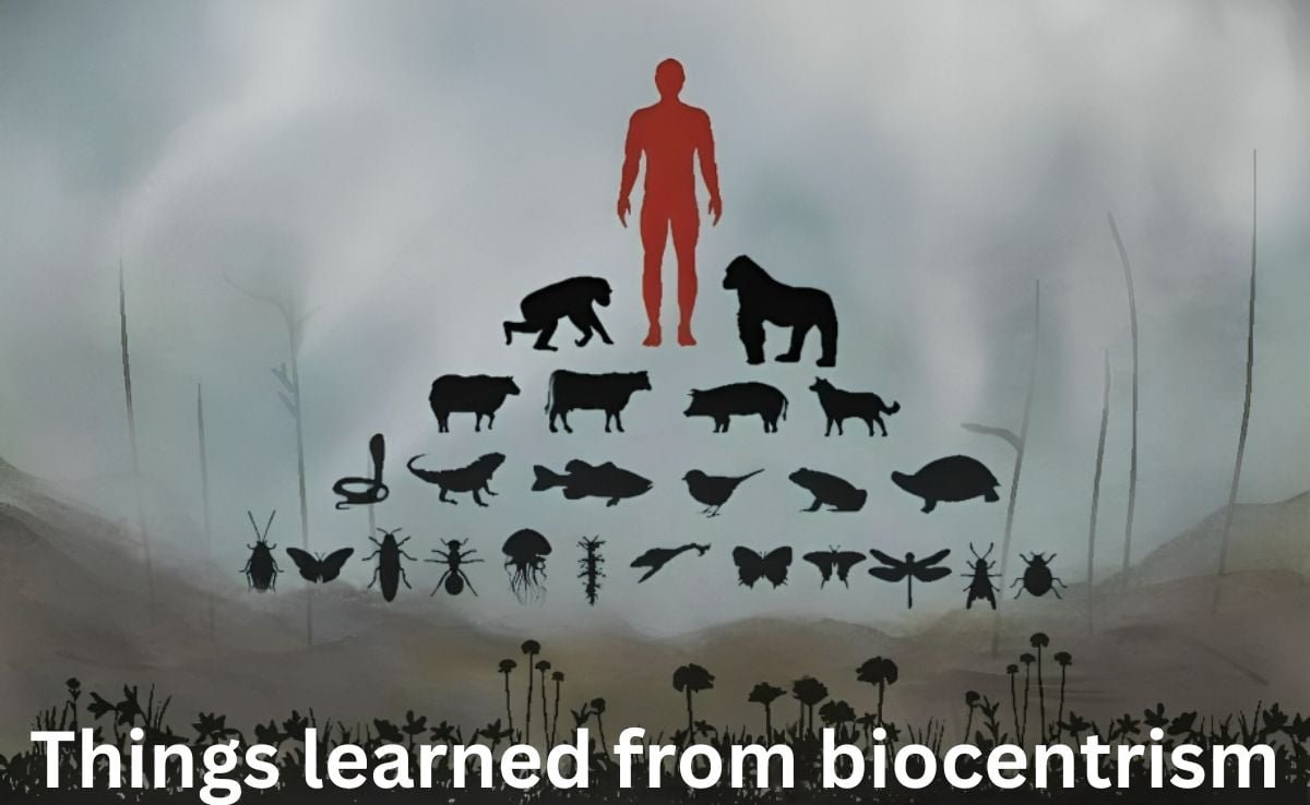 The Ultimate Guide to Understanding Biocentrism Debunked - Times Boat